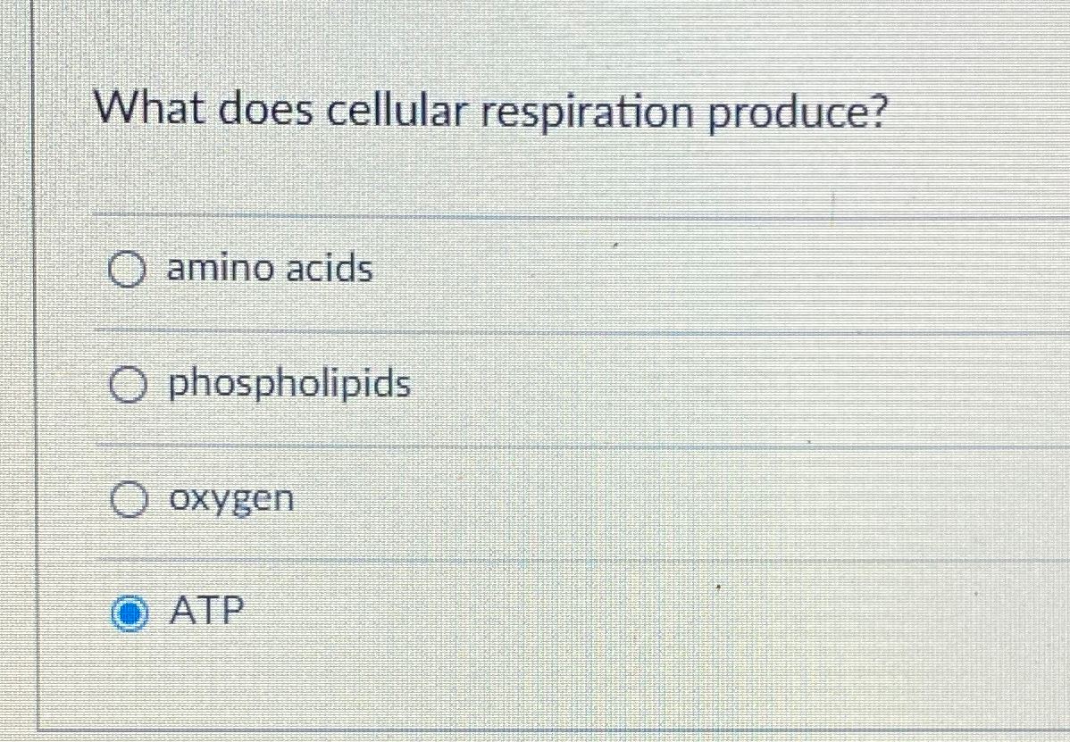 Solved What does cellular respiration produce?amino | Chegg.com