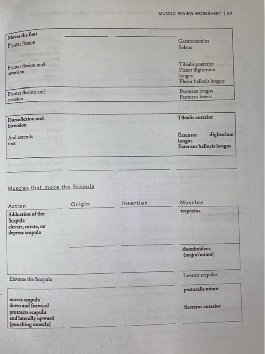 Solved MUSCLE REVIEW WORKSHEET | 89 Moves the foot Plantar | Chegg.com