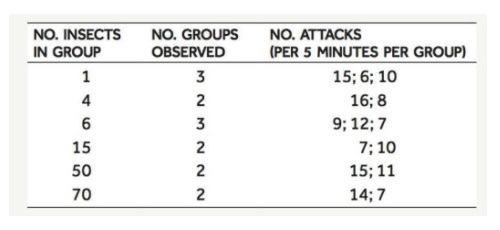 Solved Do individuals in a group gain protection from | Chegg.com