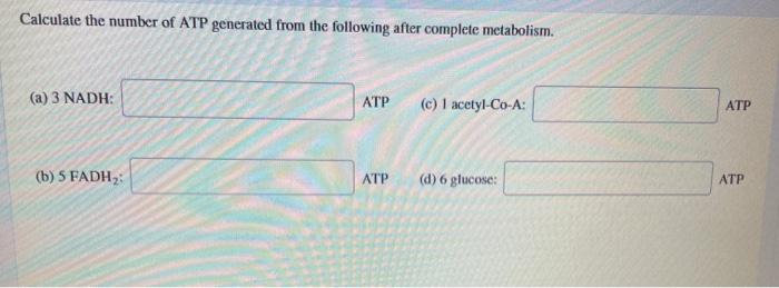 Solved Calculate the number of ATP generated from the | Chegg.com