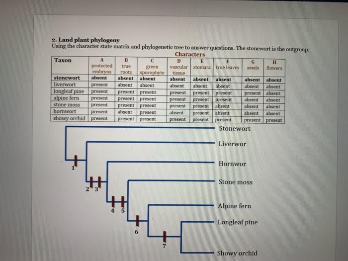 2. Land plant phylogeny Using the character state | Chegg.com