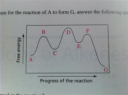 Solved a) Which step in the forward direction has the | Chegg.com
