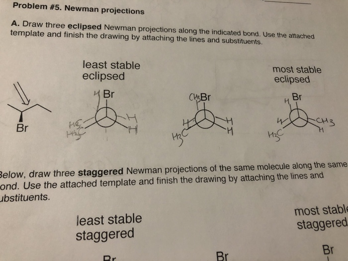 Solved Problem #5. Newman projections A. Draw three eclipsed | Chegg.com