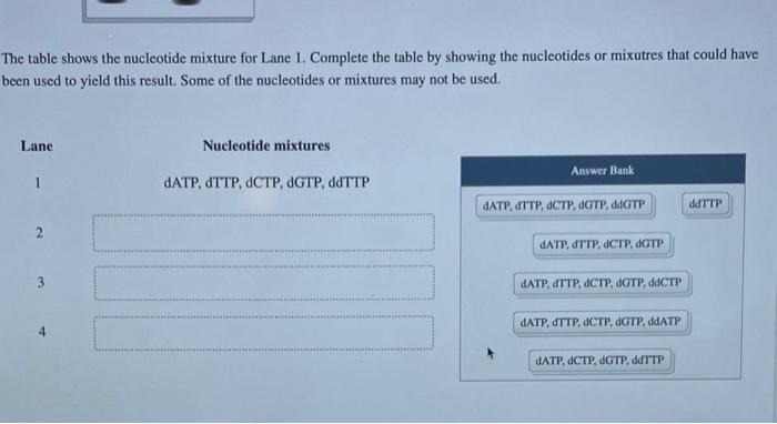 Solved A researcher used the Sanger method to sequence the | Chegg.com