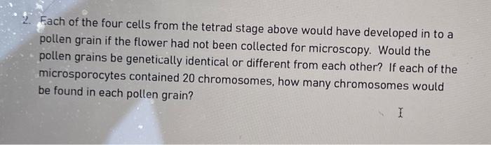 Solved Each of the four cells from the tetrad stage above | Chegg.com