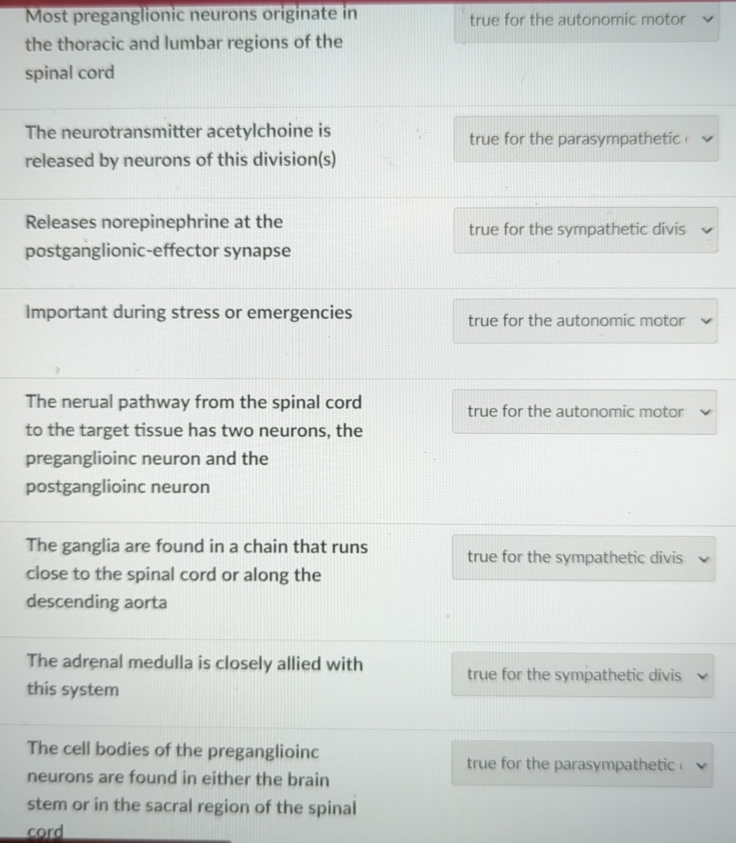 Solved Most preganglionic neurons originate in the thoracic | Chegg.com