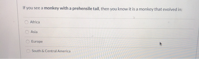 Solved An intermembral index of around 100 tells you that: | Chegg.com