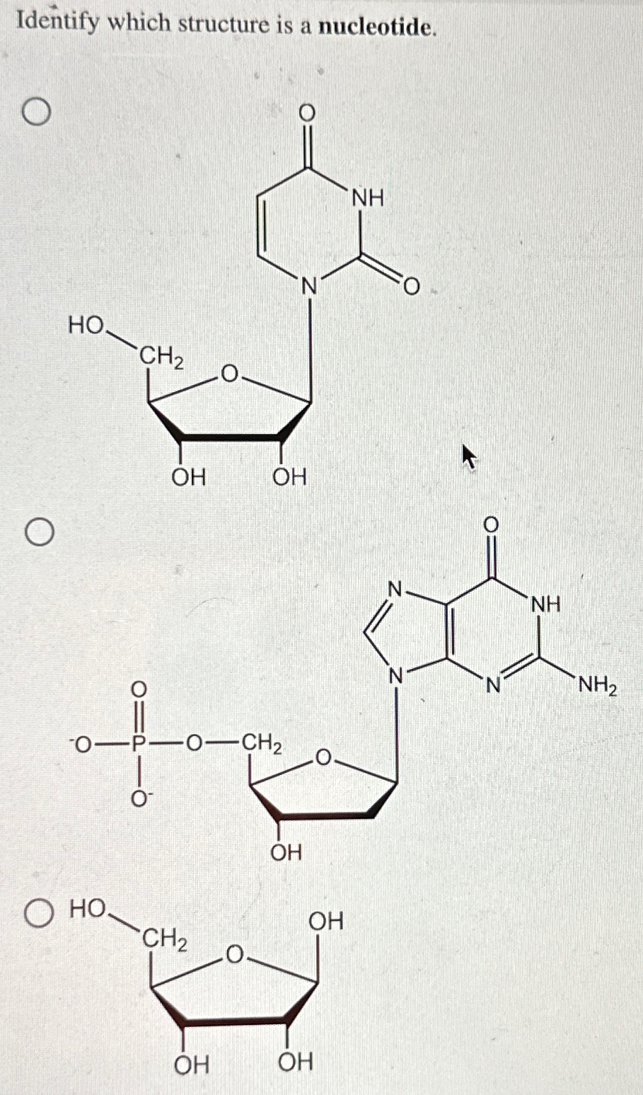 Solved Identify which structure is a nucleotide. | Chegg.com