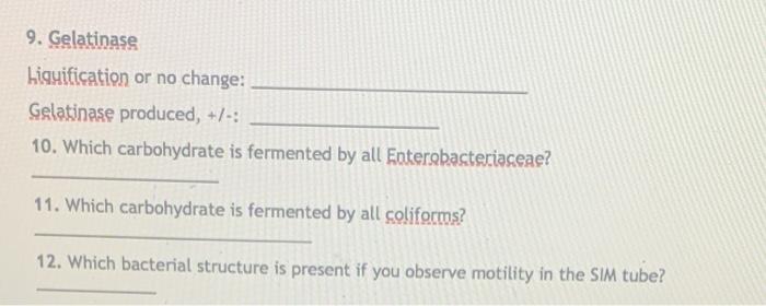 Solved SIM Deep Test: 7. Sulfur Indole Motility (SIM) | Chegg.com