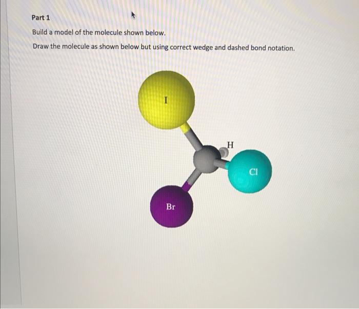 Solved Build a model of the molecule shown below. Draw the | Chegg.com