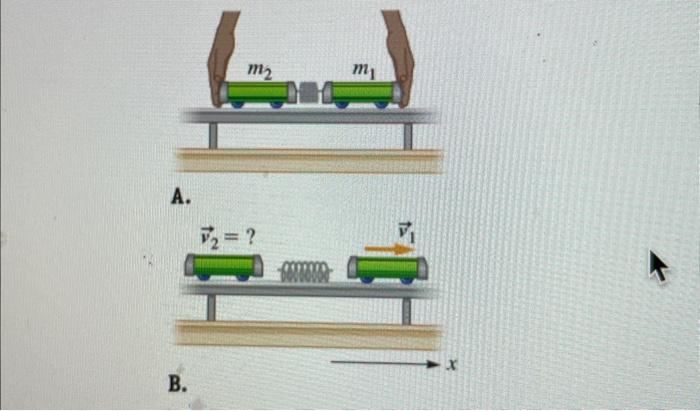 Solved There is a compressed spring between two laboratory | Chegg.com