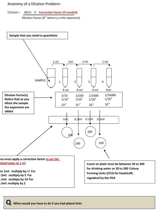 Solved Anatomy of a Dilution Problem: CFU/ml=CFU * | Chegg.com