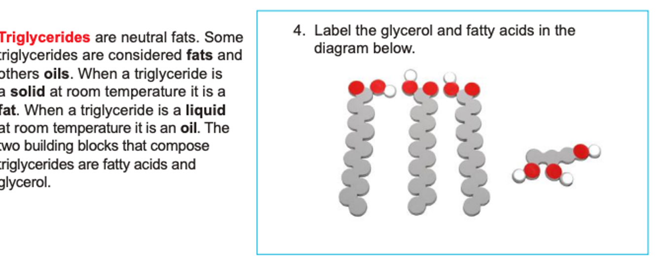 Solved Triglycerides are neutral fats. Some riglycerides are | Chegg.com