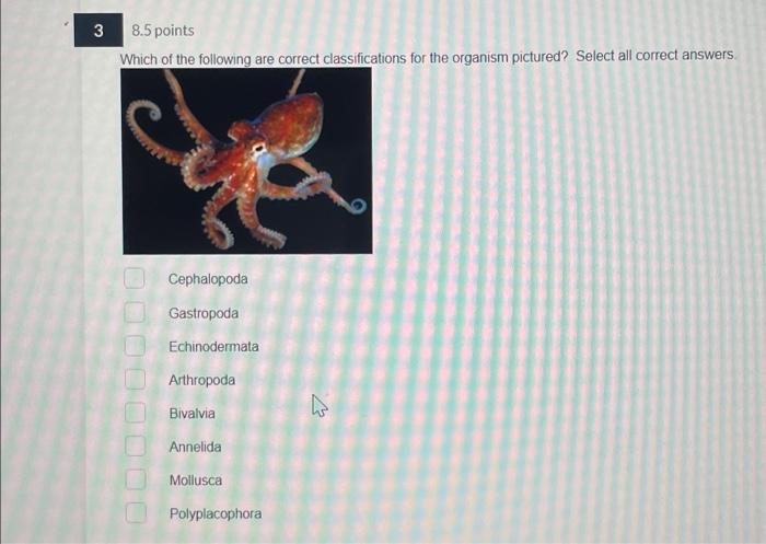 Solved Which of the following are correct classifications | Chegg.com