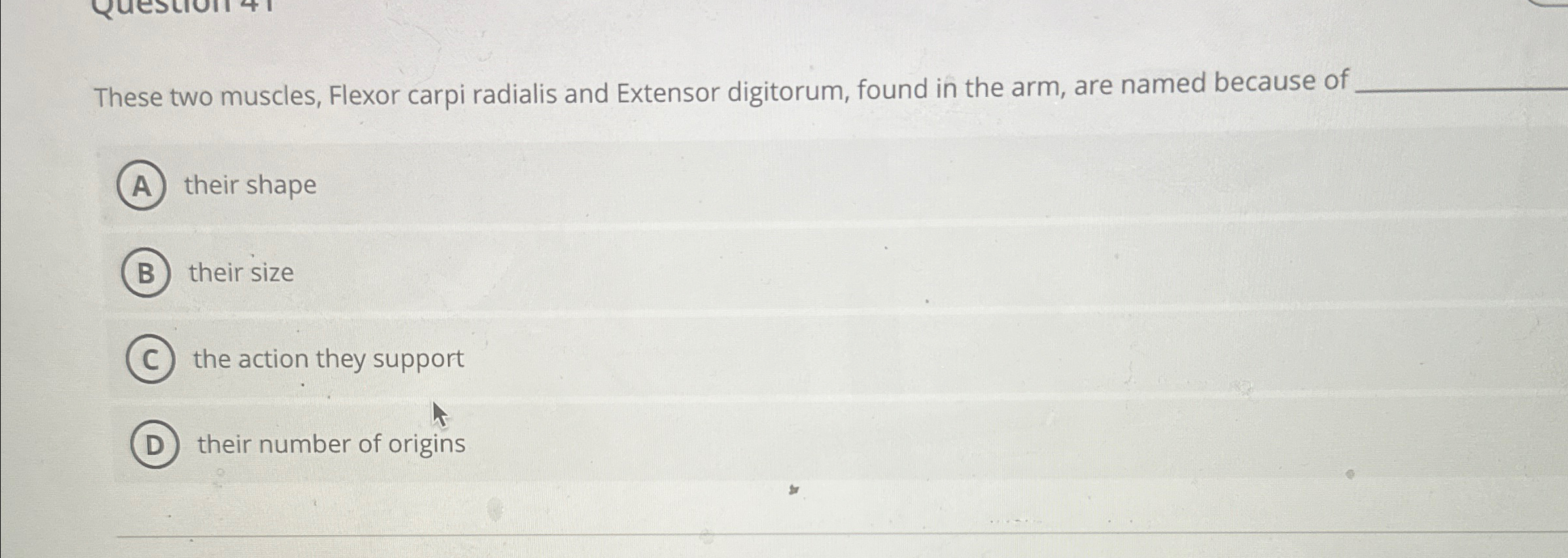 Solved These two muscles, Flexor carpi radialis and Extensor | Chegg.com