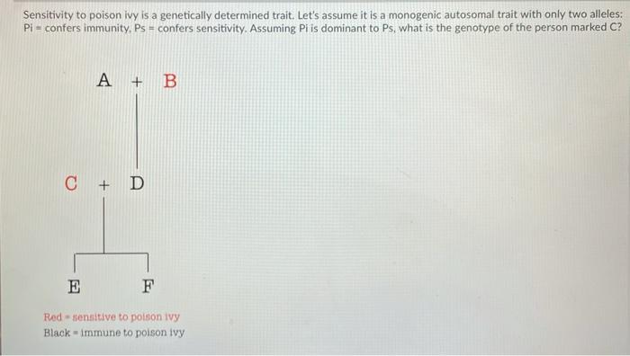 Solved Sensitivity to poison ivy is a genetically determined | Chegg.com