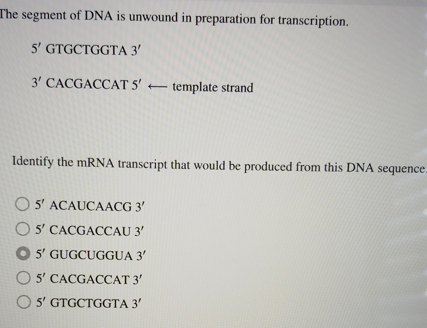 Solved The segment of DNA is unwound in preparation for | Chegg.com