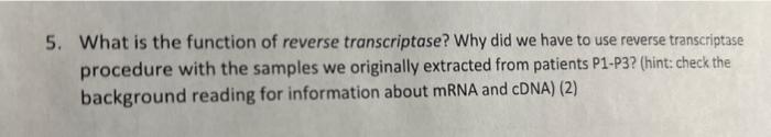 Solved What is the function of reverse transcriptase? Why | Chegg.com