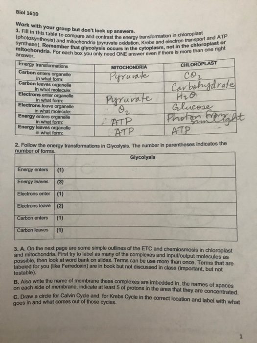 Solved in what form: ZTP ATP 2. Follow the energy | Chegg.com