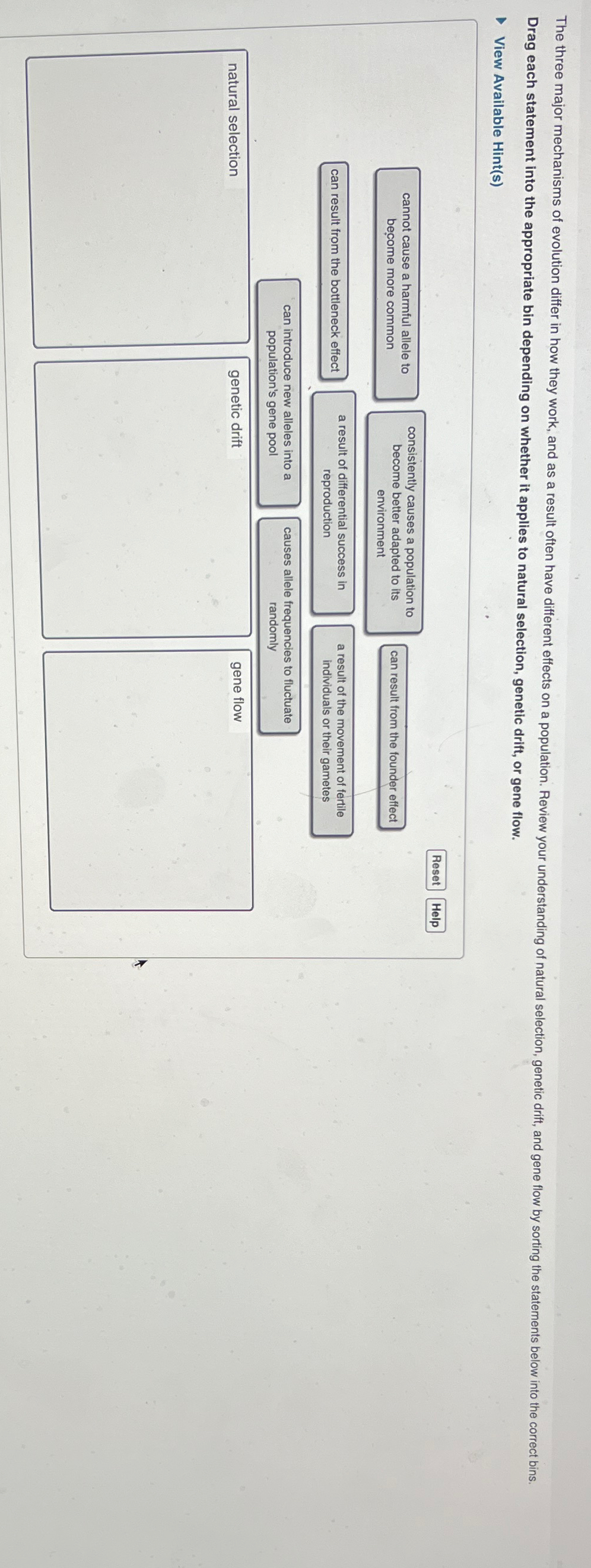 Solved Drag each statement into the appropriate bin | Chegg.com
