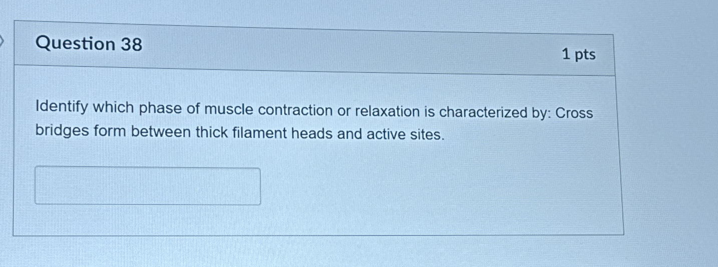 Solved Question 381 ﻿ptsIdentify which phase of muscle | Chegg.com