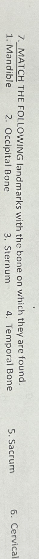 Solved MATCH THE FOLLOWING landmarks with the bone on which | Chegg.com