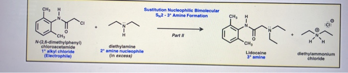 Solved 5.00 molar equivalents of diethylamine Et2NH are | Chegg.com