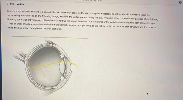 3. Eye - Vision In vertebrate animals, the eye is a | Chegg.com