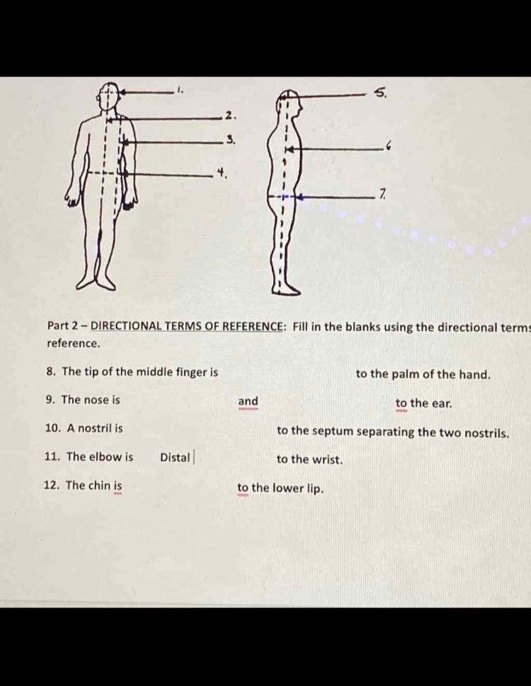 Solved 5. 3. 7. Part 2 - DIRECTIONAL TERMS OF REFERENCE: | Chegg.com