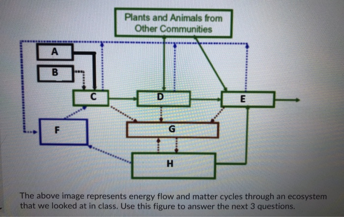 Solved Plants and Animals from Other Communities The above | Chegg.com