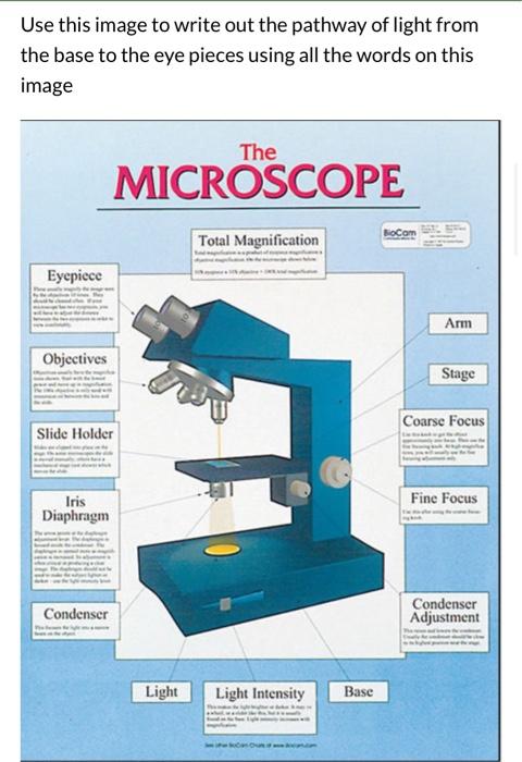 [Solved]: Use this image to write out the pathway of light