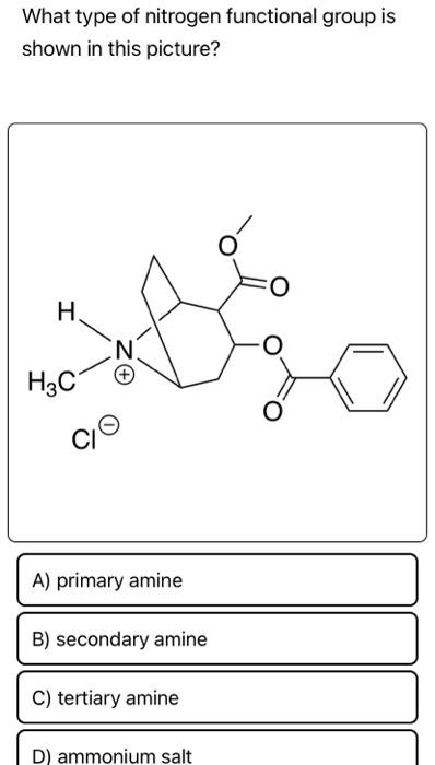 Solved What type of nitrogen functional group is shown in | Chegg.com