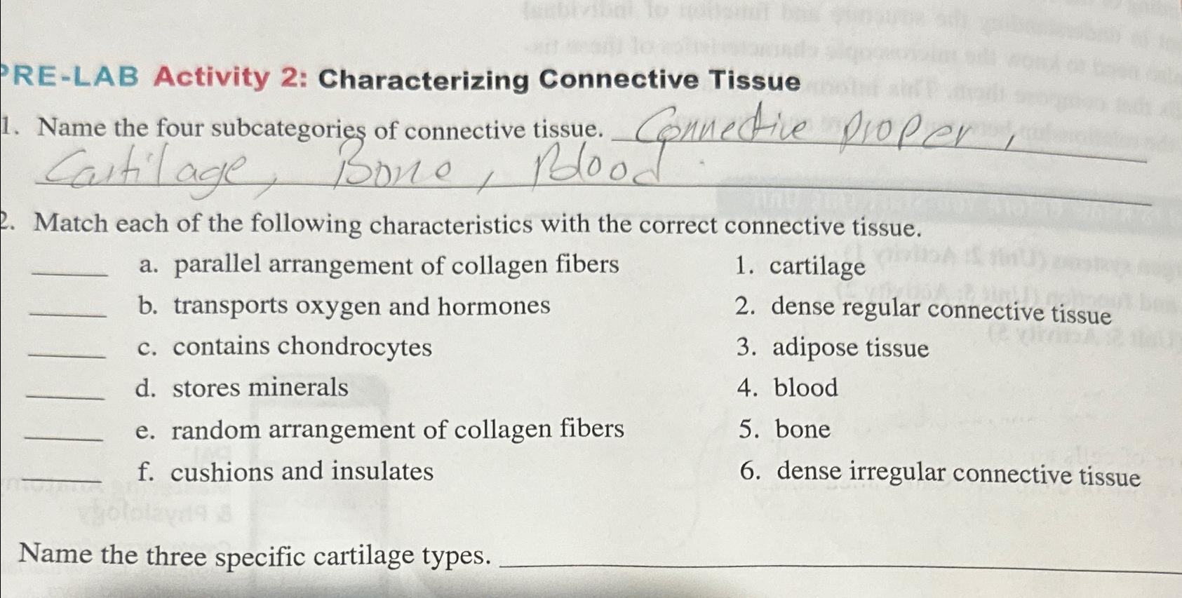 Solved PRE-LAB Activity 2: Characterizing Connective | Chegg.com