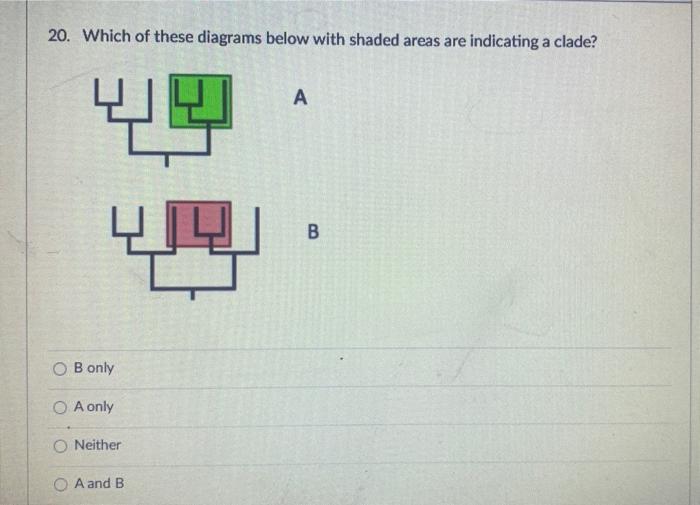 Solved . You can also tell that the most primitive organism | Chegg.com