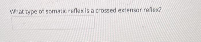 Solved What type of somatic reflex is a crossed extensor | Chegg.com