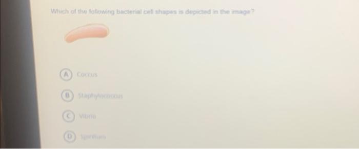Solved Which of the following bacterial cell shapes is | Chegg.com