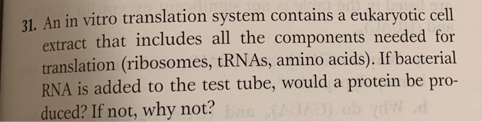 Solved 31. An in vitro translation system contains a | Chegg.com