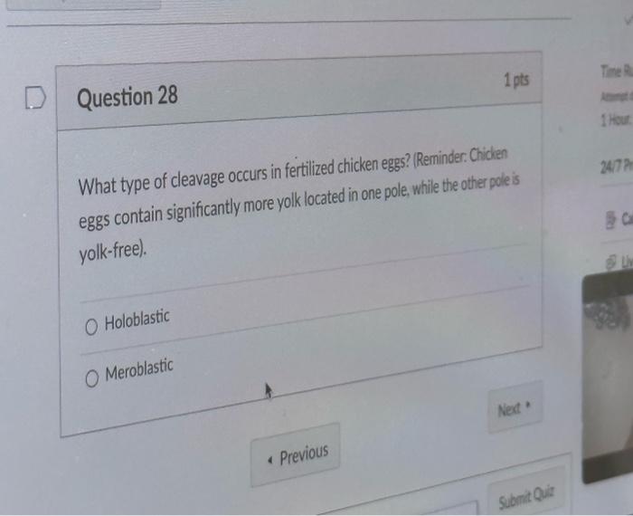 Solved What is a TRUE statement about fusion of egg and | Chegg.com