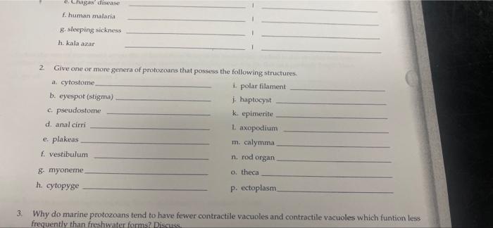 Solved 32 Invertebrate Zoology Protozoa Name: Course | Chegg.com