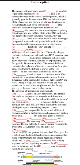 Solved Transcription (6) The process of transcription uses | Chegg.com