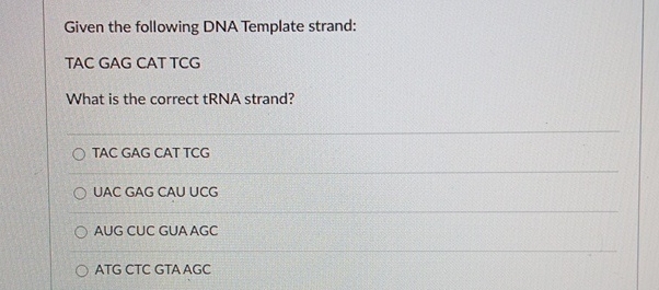 Solved Given the following DNA Template strand:TAC GAG CAT | Chegg.com