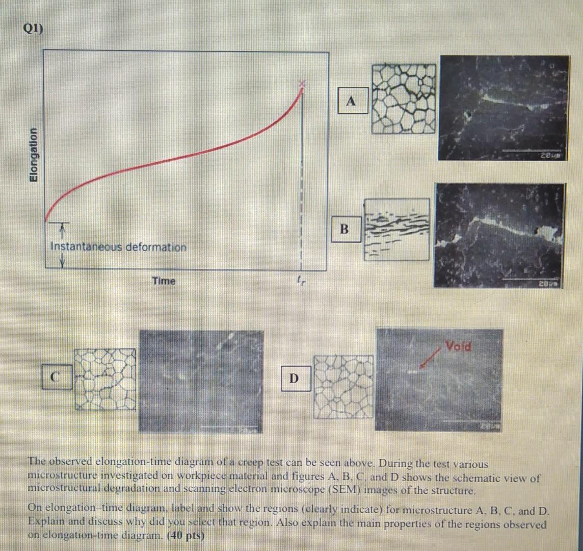 Solved Q1) A Elongation 20 B Instantaneous deformation Time | Chegg.com