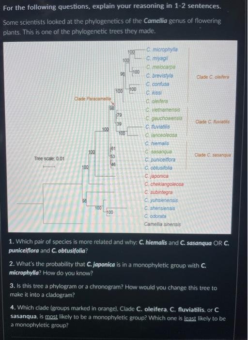 Solved For the following questions, explain your reasoning | Chegg.com