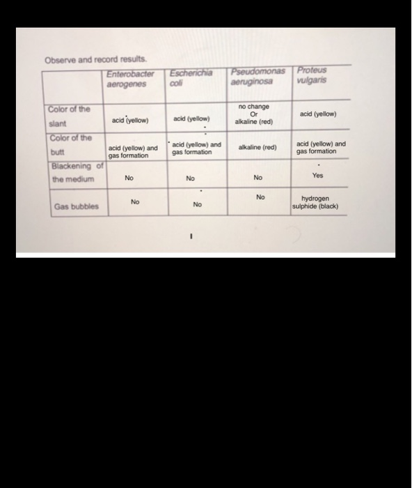 Solved Observe and record results. Enterobacter aerogenes | Chegg.com