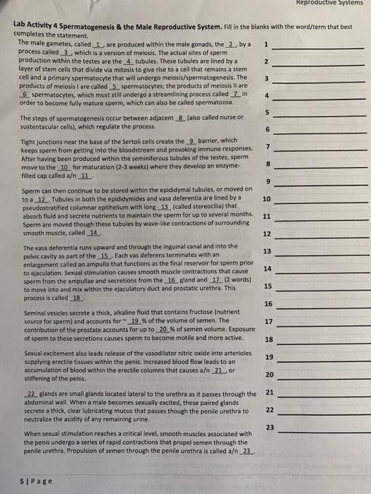 Solved Reproductive Systems Lab Activity 4 Spermatogenesis & | Chegg.com