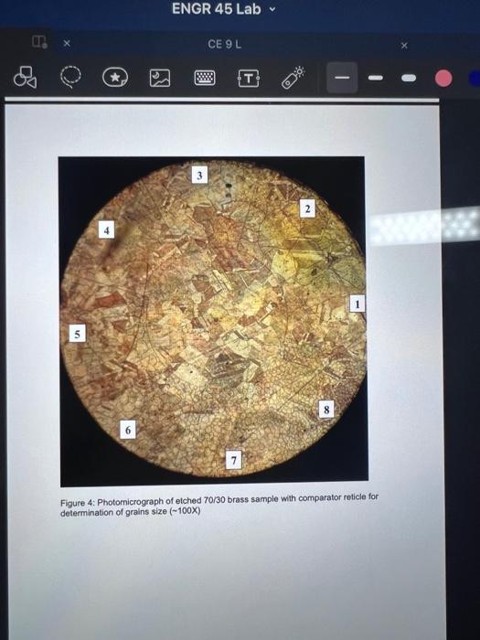 Solved a. fully labeled sketch of the microstructure | Chegg.com