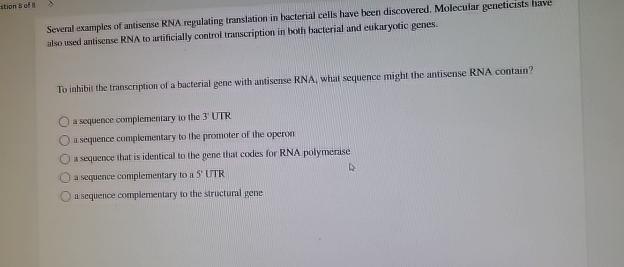 Solved ation serllSeveral exampies of antisense RNA | Chegg.com