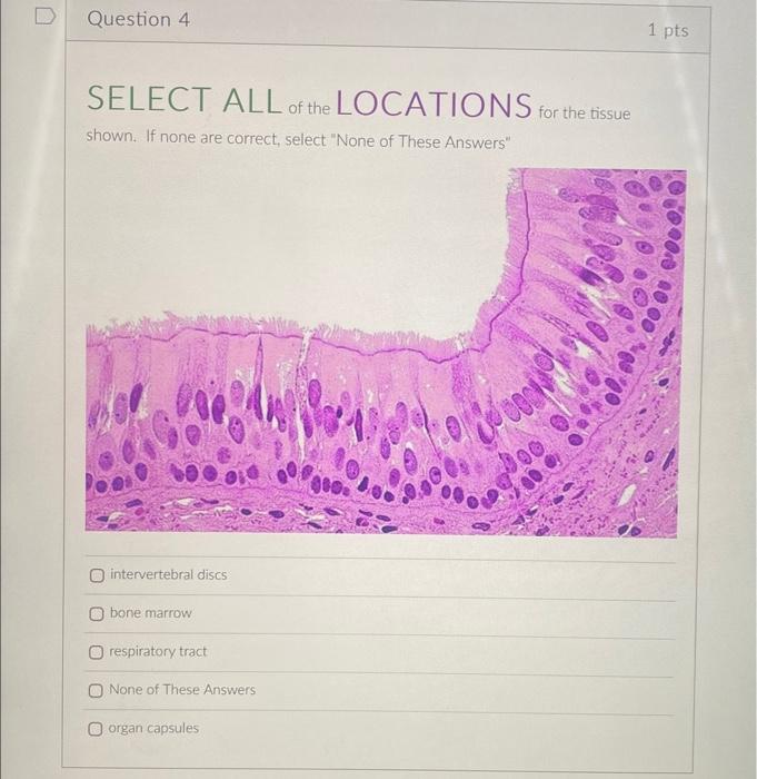 Solved IDENTIFY the FIBER. IDENTIFY the STRUCTURE/FEATURE | Chegg.com Solved IDENTIFY the FIBER. IDENTIFY the STRUCTURE/FEATURE | Chegg.com