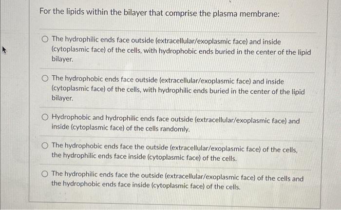 Solved For the lipids within the bilayer that comprise the | Chegg.com