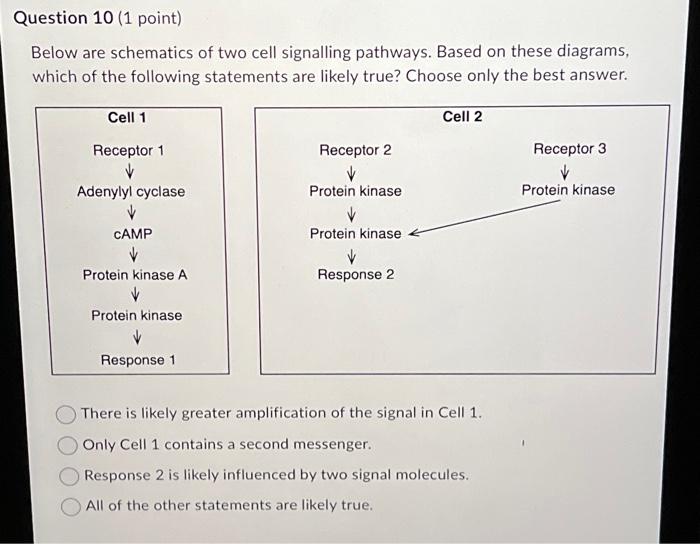 Solved Below are schematics of two cell signalling pathways. | Chegg.com